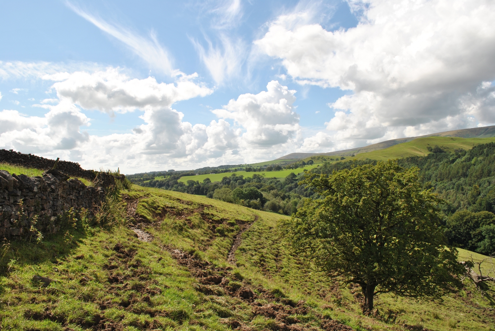 Whitewell walk - Explore Bowland