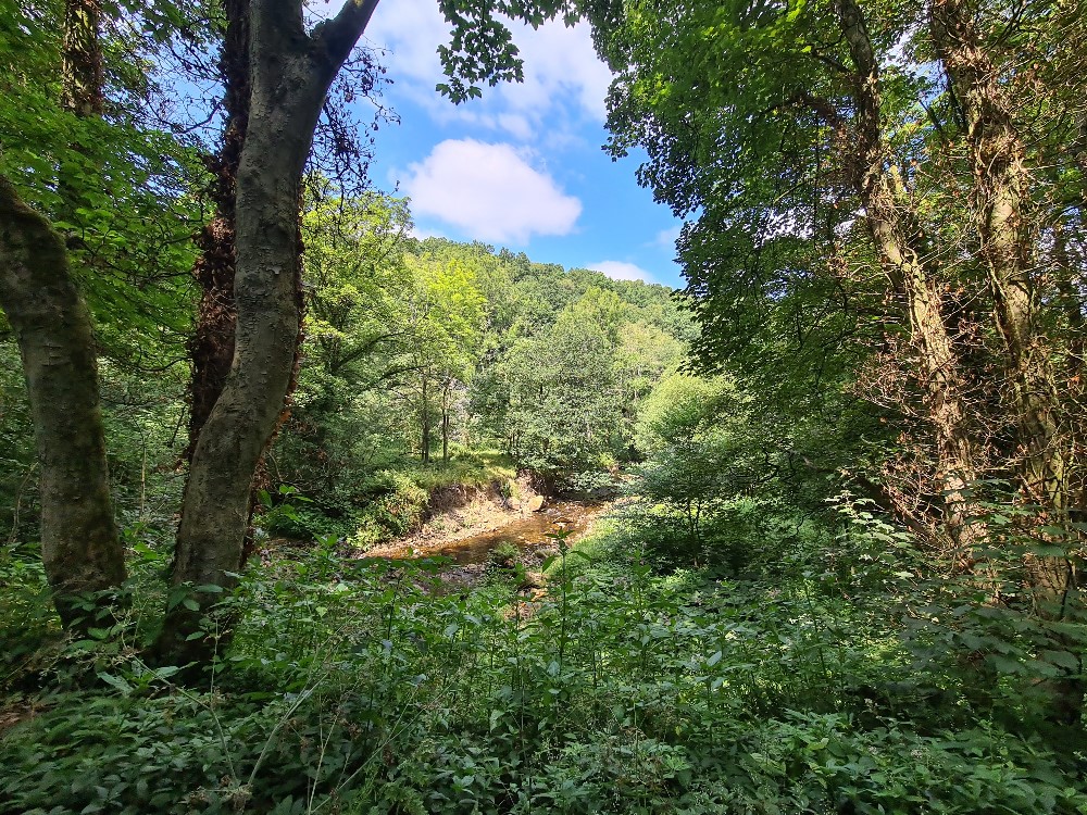 Calder Vale Walk - Explore Bowland