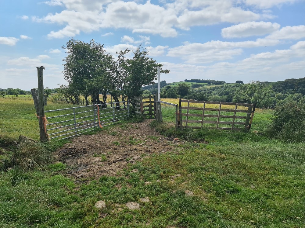 Calder Vale Walk - Explore Bowland