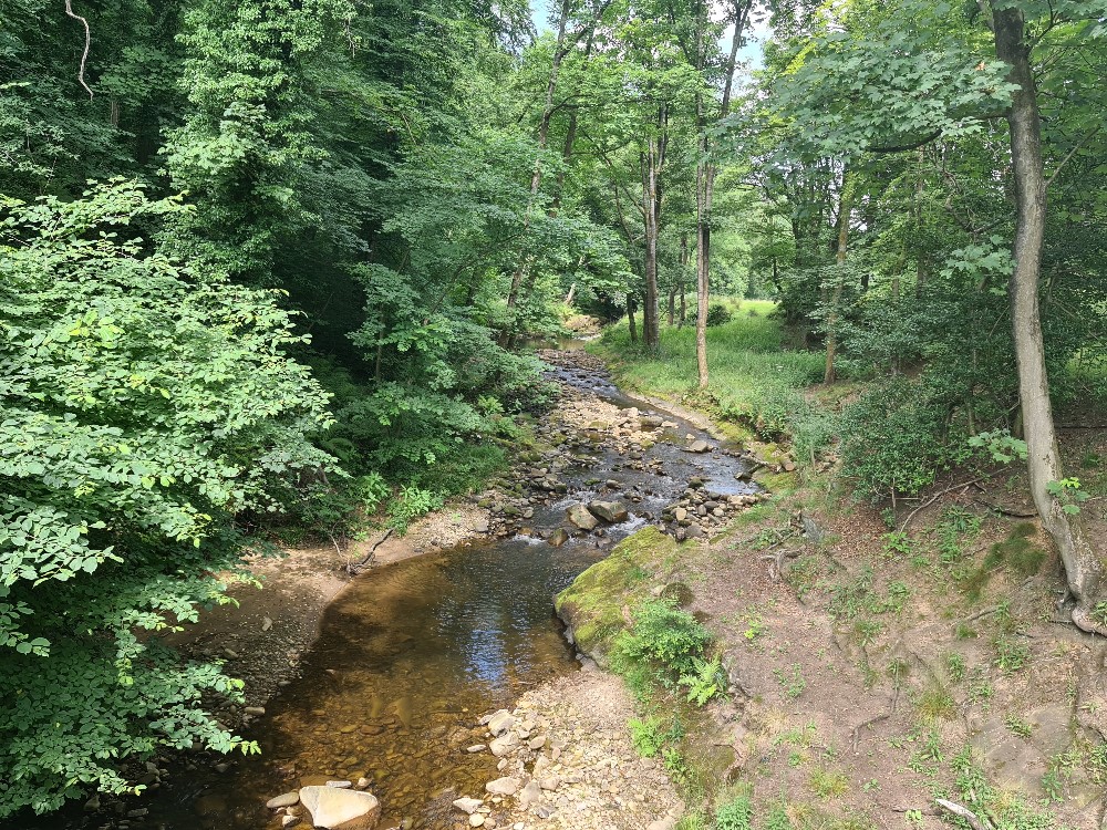 Calder Vale Walk - Explore Bowland