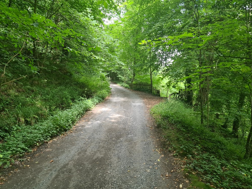 Calder Vale Walk - Explore Bowland