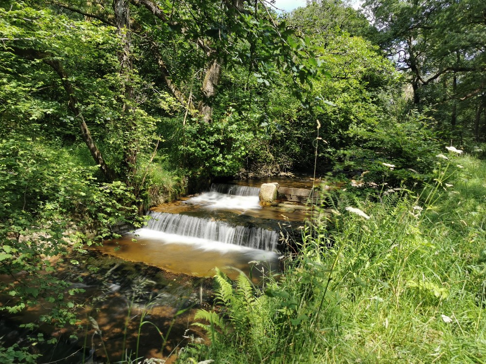 Calder Vale Walk - Explore Bowland