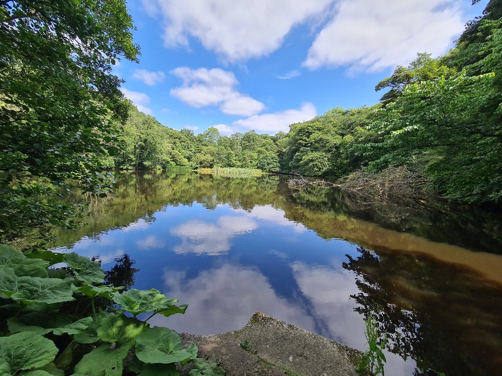 Calder Vale Walk - Explore Bowland