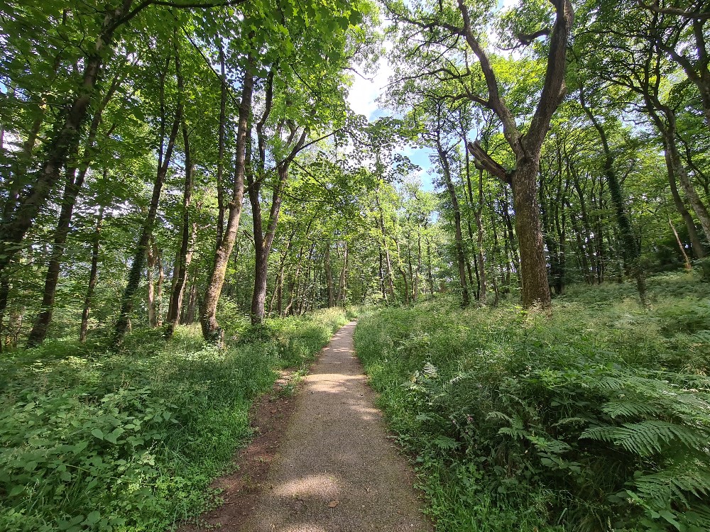 Calder Vale Walk - Explore Bowland