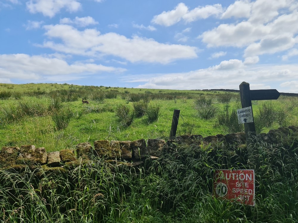 Calder Vale Walk - Explore Bowland